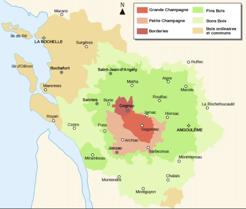 Le cognac, comment il est fait, produit et créé