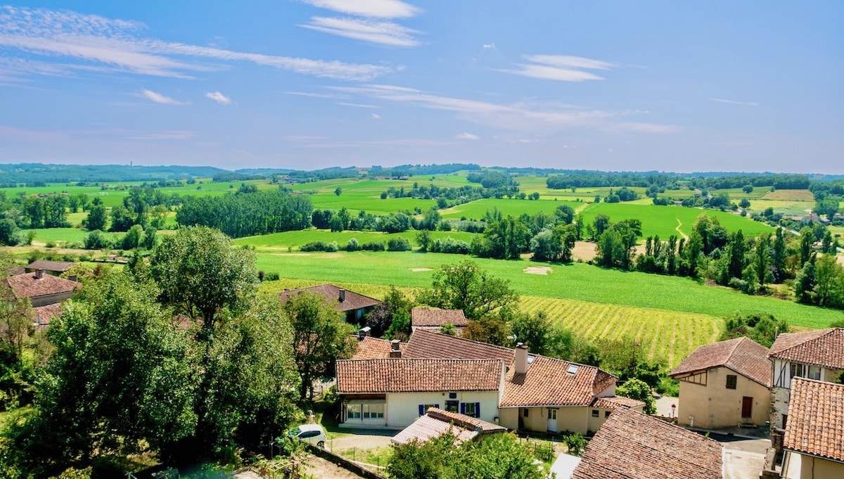 Les vins de Plaimont et le Piémont Pyrénéen